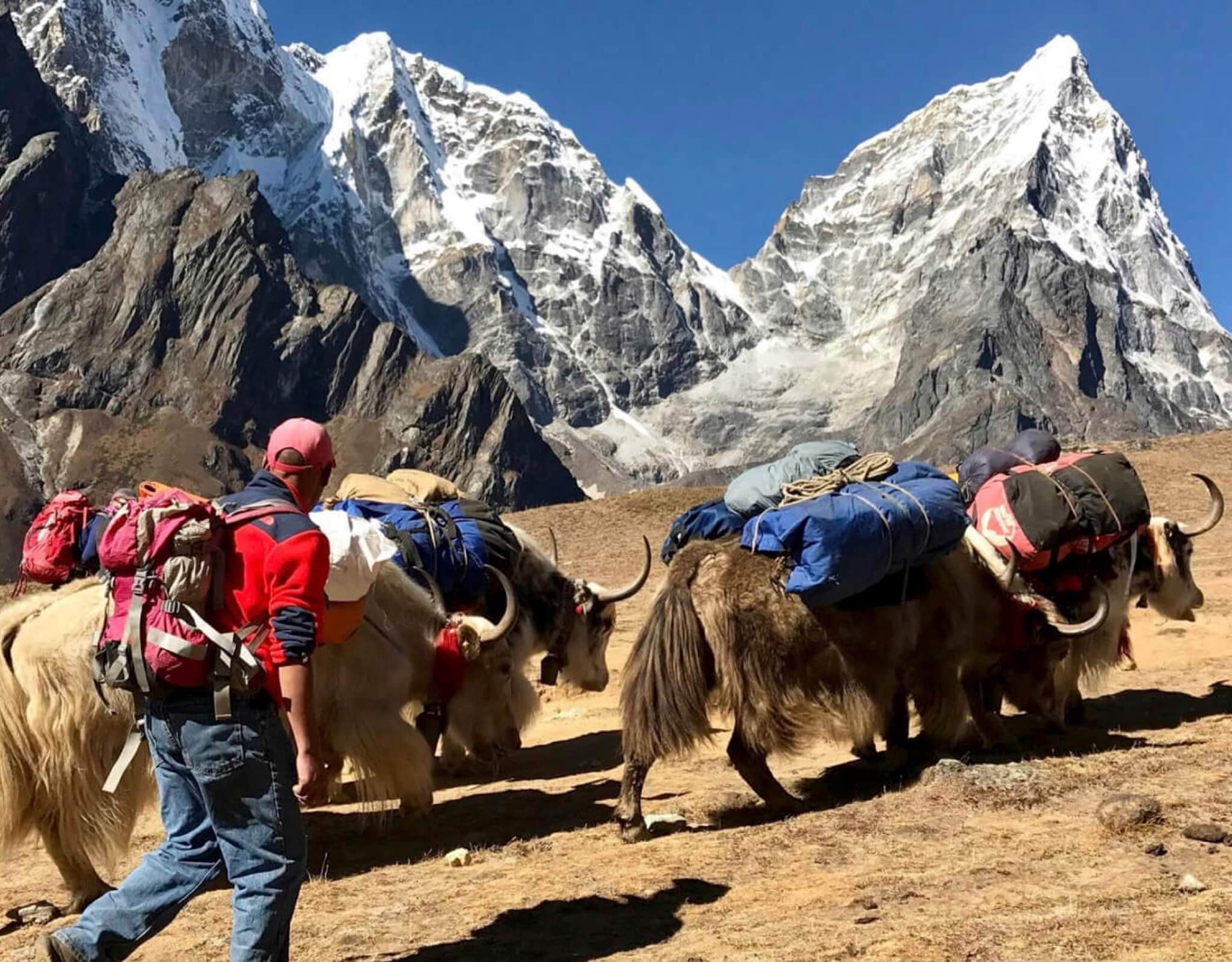 Book Your Next Adventure Treks With Us | Wild Spirit Adventures